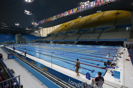 Swimmers Train Swimming Diving Competition Pools Editorial Stock Photo ...