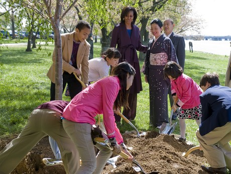 45 West potomac park Stock Pictures, Editorial Images and Stock Photos ...