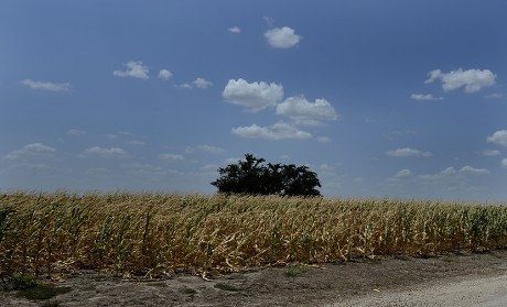 Temperatures Over 100 Degrees Fahrenheit Around Editorial Stock Photo ...