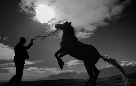 Horseman Works During Celebrations Marking Traditional Editorial Stock ...