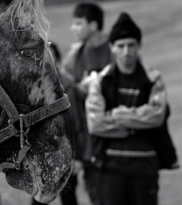 Man Stands Next His Horse During Editorial Stock Photo - Stock Image ...