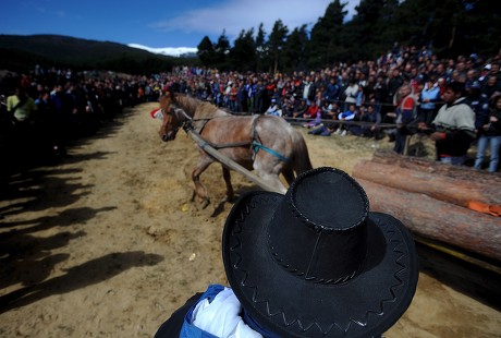 Bulgarian Spectators Watch Horse Contest During Editorial Stock Photo ...