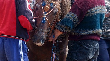Bulgarians Hold Horse Contest During Celebrations Editorial Stock Photo ...