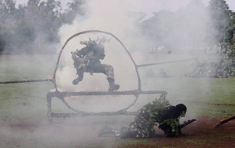 Madhya Pradesh Special Task Force Stf Editorial Stock Photo - Stock ...