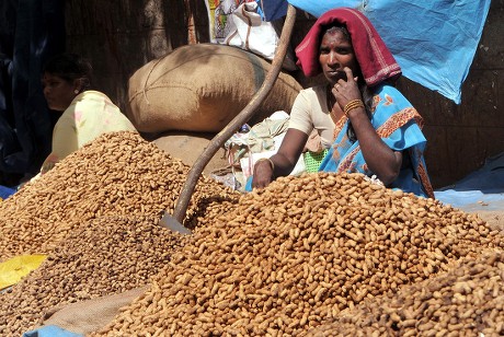 Groundnut Seller Waits Customers Groundnut Fair Editorial Stock Photo ...