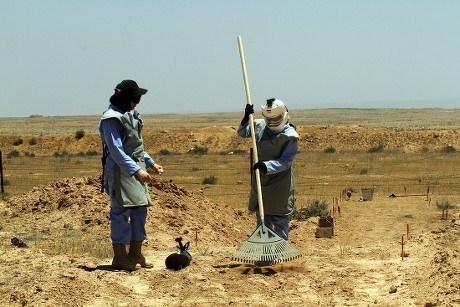Jordanian Female Deminers Search Land Mines Editorial Stock Photo ...