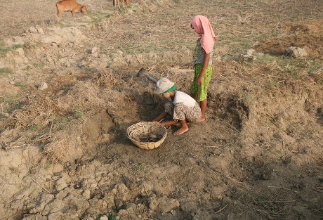 Myanmar Girls Put Soil Into Basket Editorial Stock Photo - Stock Image ...