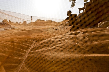 Photo Made Available On 24 February Editorial Stock Photo - Stock Image ...