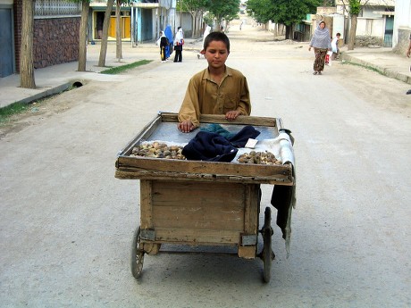 Young Boy Sells Khashkhash Reamains Poopy Editorial Stock Photo - Stock ...
