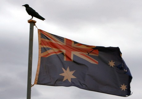 Black Crow On Flag Pole Bearing Editorial Stock Photo - Stock Image ...
