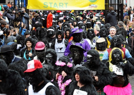 Runners Dressed Gorillas Start Race London Editorial Stock Photo ...