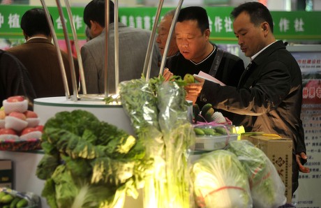 Visitors Look Agricultural Products On Display Editorial Stock Photo ...