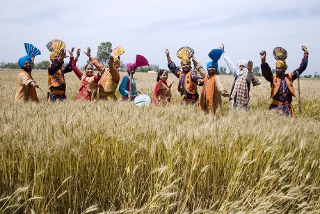 Indian Men Women Wearing Traditional Punjabi Editorial Stock Photo ...