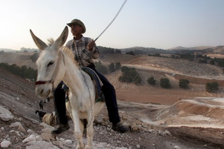 Arab Shepherd Boy Named Ahmed Rides Editorial Stock Photo - Stock Image ...