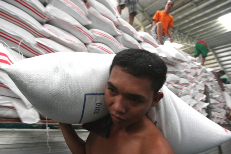 Filipino Warehousemen Unload Rice Vietnam National Editorial Stock ...