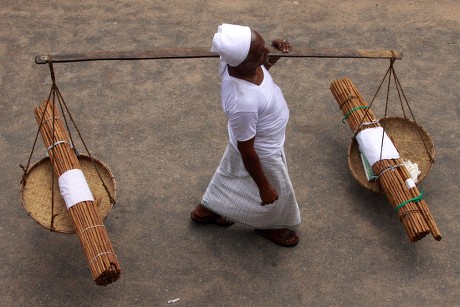 Pingo Carrier Once Popular Mode Carrying Editorial Stock Photo - Stock ...