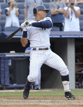 New York Yankees Third Baseman Alex Editorial Stock Photo - Stock Image ...