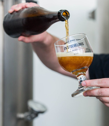 Brewer Serves Finished Beer After Brewing Editorial Stock Photo - Stock ...