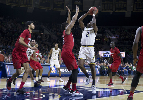 Notre Dame Guard Temple Gibbs 2 Editorial Stock Photo - Stock Image ...