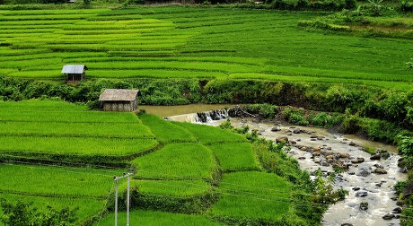 Terrace Fields Photographed On Outskirts Halflong Editorial Stock Photo ...