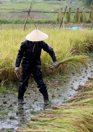 7 Rural japanese man Stock Pictures, Editorial Images and Stock Photos ...