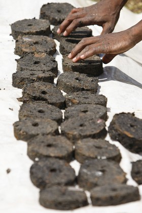 Photo Dated 04 June 2011 Shows Editorial Stock Photo - Stock Image ...