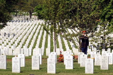 Bugler 3rd Us Infantry Old Guard Editorial Stock Photo - Stock Image ...