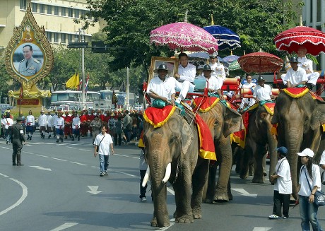 Mahouts On Thai Elephants Walk Past Editorial Stock Photo - Stock Image ...