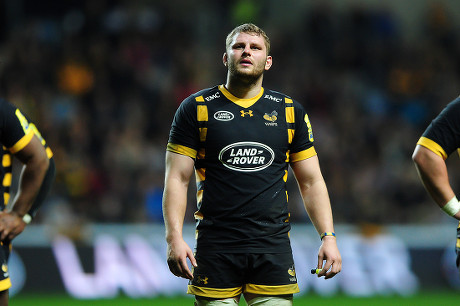 Thomas Young Wasps Looks On Editorial Stock Photo - Stock Image ...