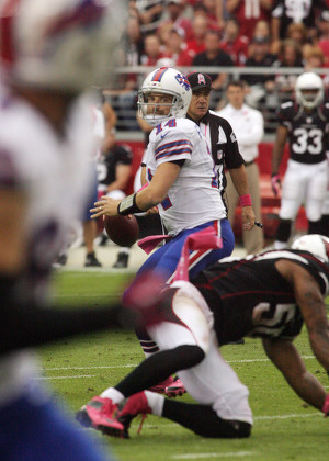 Buffalo Bills Quarterback Ryan Fitzpatrick C Editorial Stock Photo ...