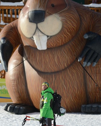 Under Watchful Eye Inflatable Beaver Travis Editorial Stock Photo ...