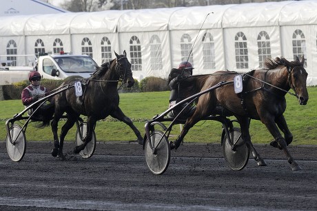 250 Horse harness racing Stock Pictures, Editorial Images and Stock ...