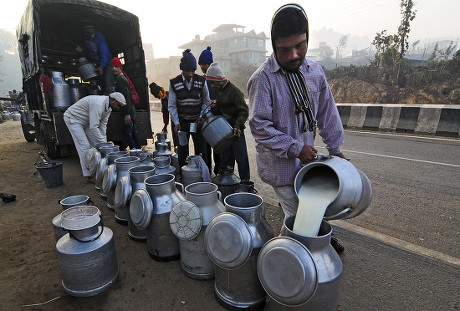 Indian Vendor Pours His Milk Sale Editorial Stock Photo - Stock Image ...