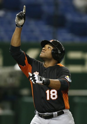 First Baseman Curt Smith Netherlands Celebrates Editorial Stock Photo ...