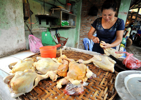 Poultry Displayed Sale Stall Market Hanoi Editorial Stock Photo - Stock ...