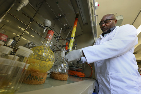 University Cape Town Uct Scientist Works Editorial Stock Photo - Stock ...