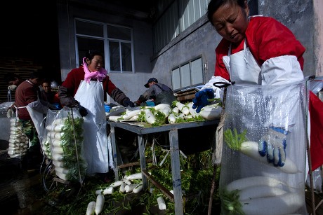 2,000 Chinese farmers Stock Pictures, Editorial Images and Stock Photos ...