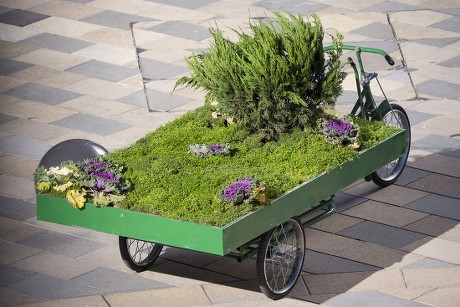 Installation Tricycles Adapted By Artists Host Editorial Stock Photo ...