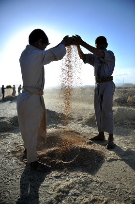 Yemeni Farmers Winnow Wheat Wind Separate Editorial Stock Photo - Stock ...