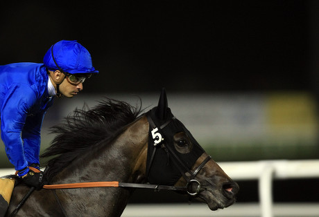 __COUNT__ Uae Horse Racing - Mar 2013 Stock Pictures, Editorial Images ...