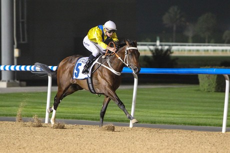 Horse Racing from Meydan DWC Carnival, United Arab Emirates - 12 Jan ...