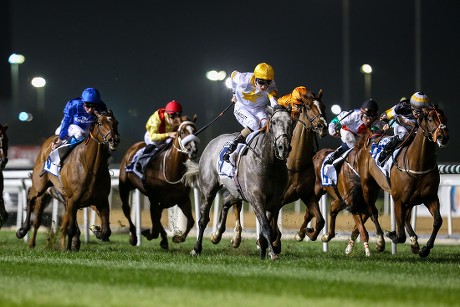 David Marnane Meydan Dubai World Cup Editorial Stock Photo - Stock ...