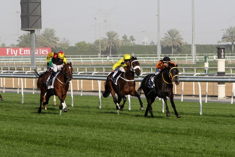 Kahrab Bruno Reis Trained By Rashed Editorial Stock Photo - Stock Image ...