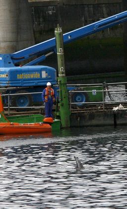 Worker On Barge Squinty Bridge Watching Editorial Stock Photo - Stock ...