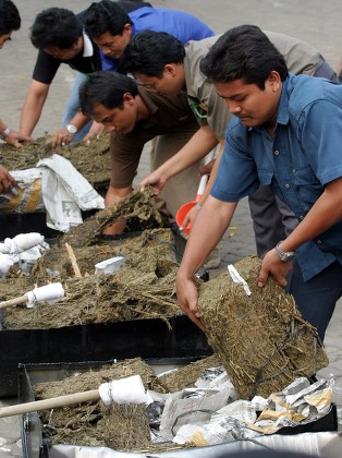 Indonesian National Drugs Bureau Officers Prepare Editorial Stock Photo ...