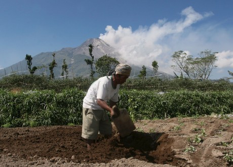 Farmer Works On His Farm Near Editorial Stock Photo - Stock Image ...