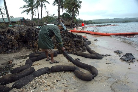 Filipino Prepares Oil Spill Breaker Along Editorial Stock Photo - Stock ...