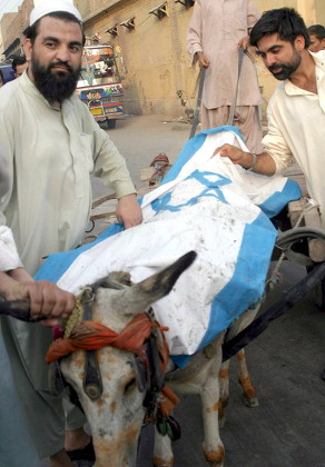 Protesters Bring Donkey Wearing Israeli Flag Editorial Stock Photo ...