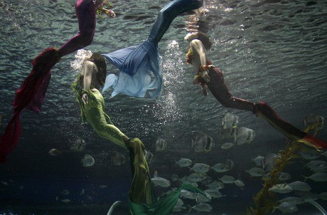 Filipino Divers Portraying Mermaids Perform Tunnel Editorial Stock ...