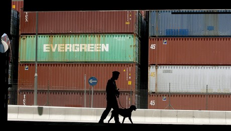 Customs Officer Dog Handling Unit Walks Editorial Stock Photo - Stock ...